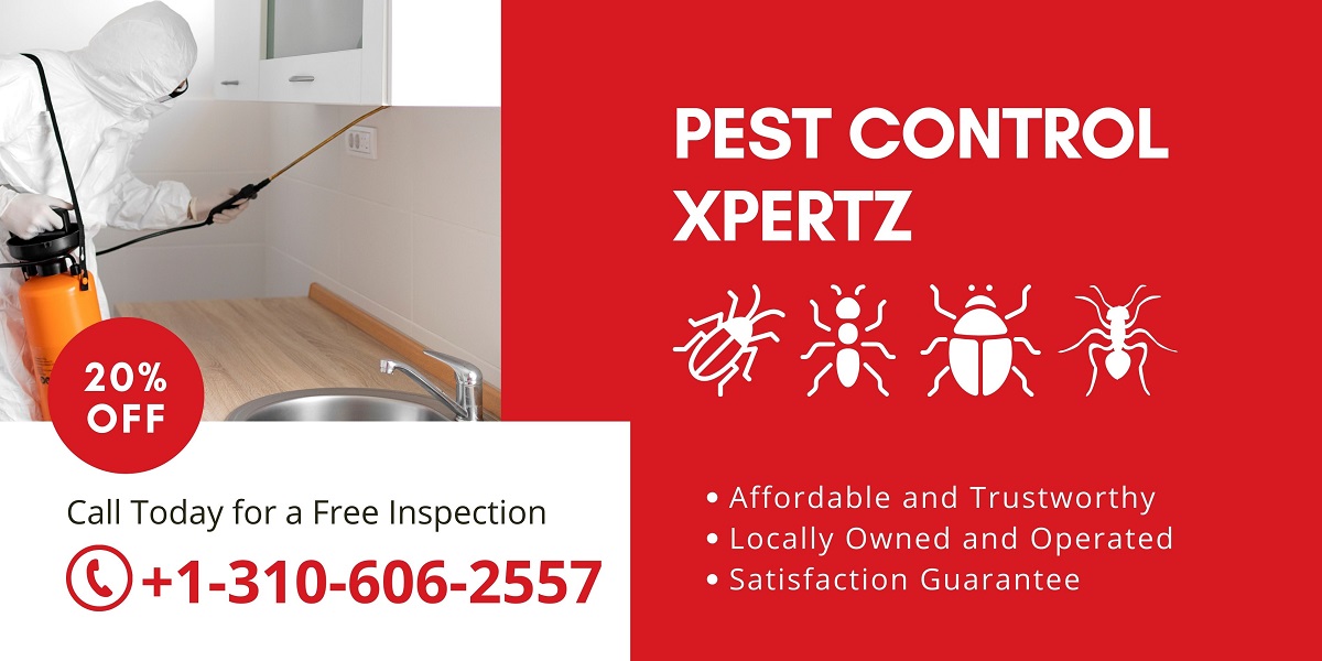 Pest Control Xpertz | Local Pest Control & Termite Treatment Near Me
